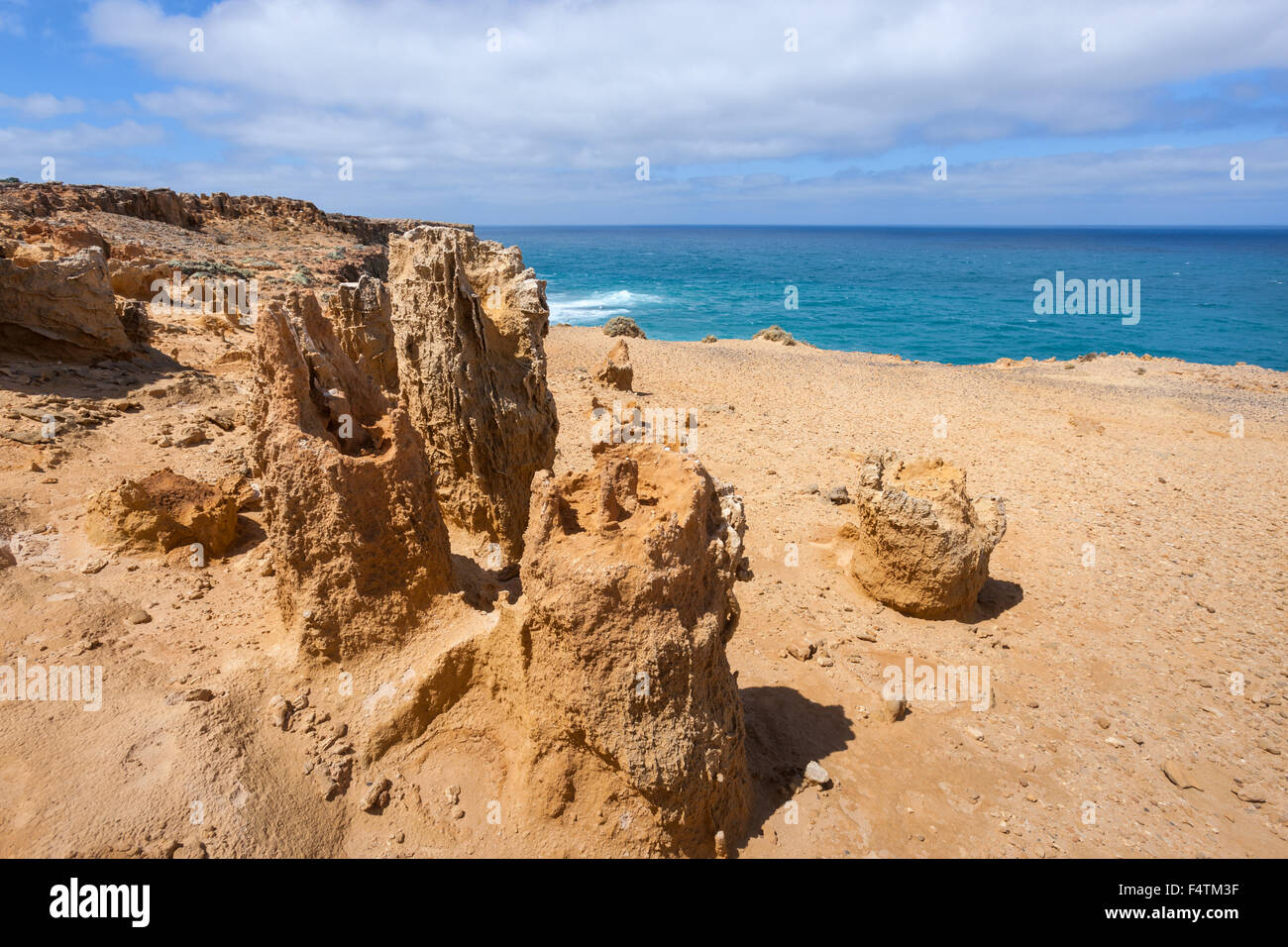 Cape Bridgewater, Petrified Forest, fossilization, Australia, Victoria ...