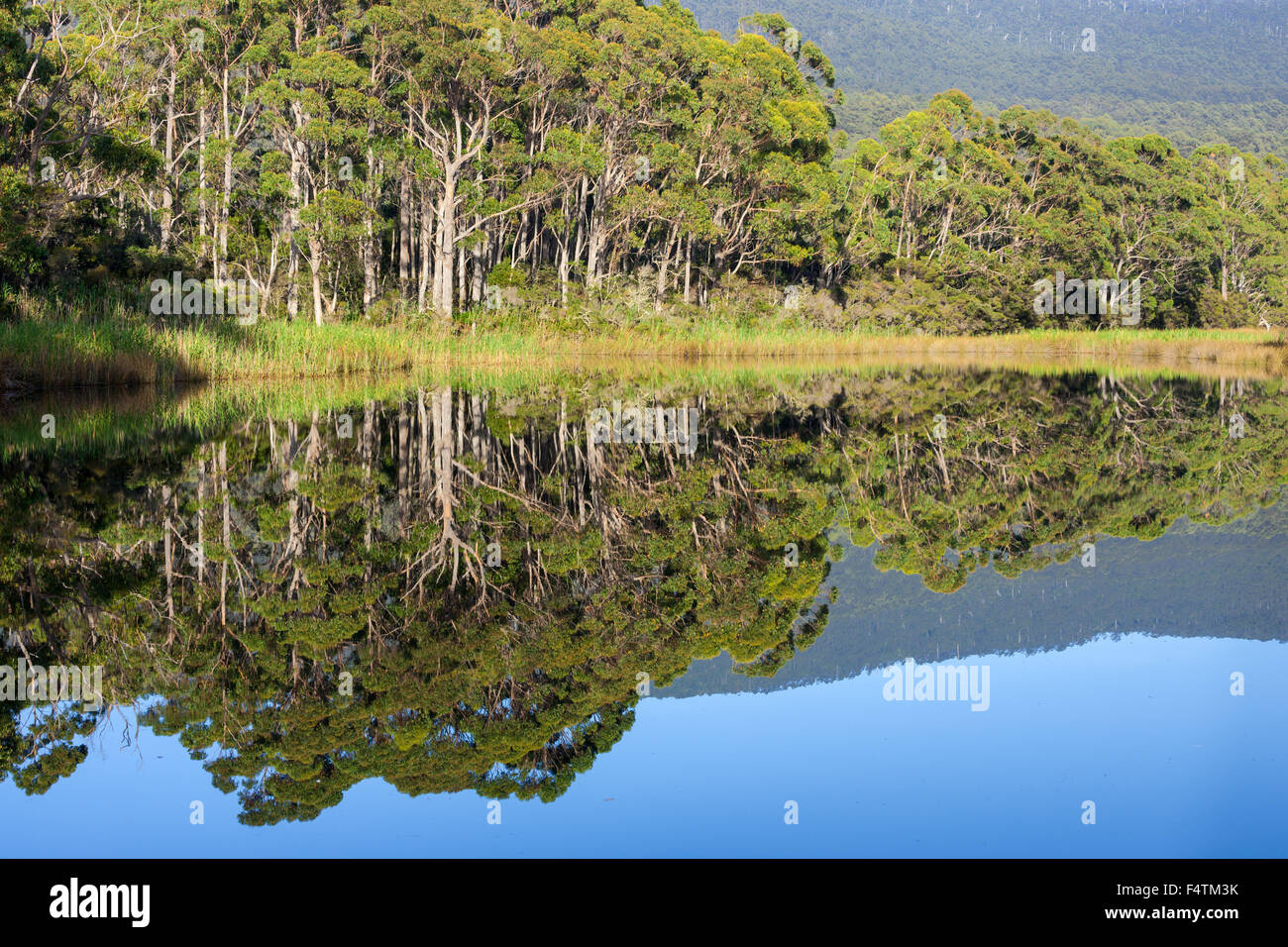 Australia captain hi-res stock photography and images - Alamy
