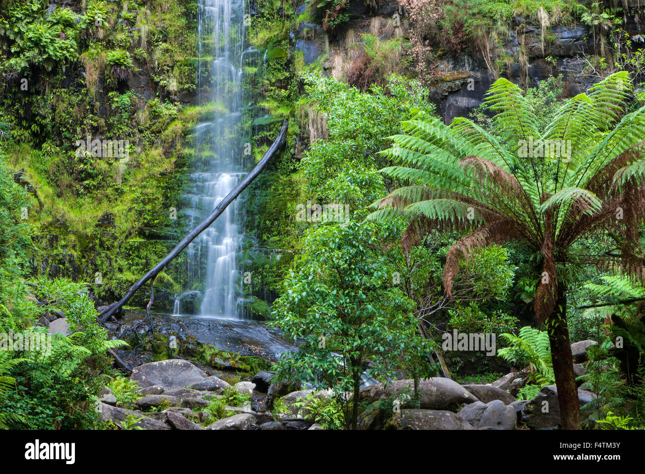 10 Best Waterfall Trails In Great Otway National Park – WAEXX