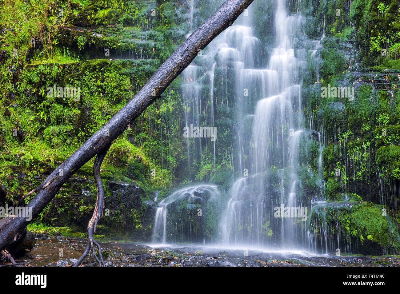 Erskine Falls, Australia, Victoria, Great Otway, national park ...