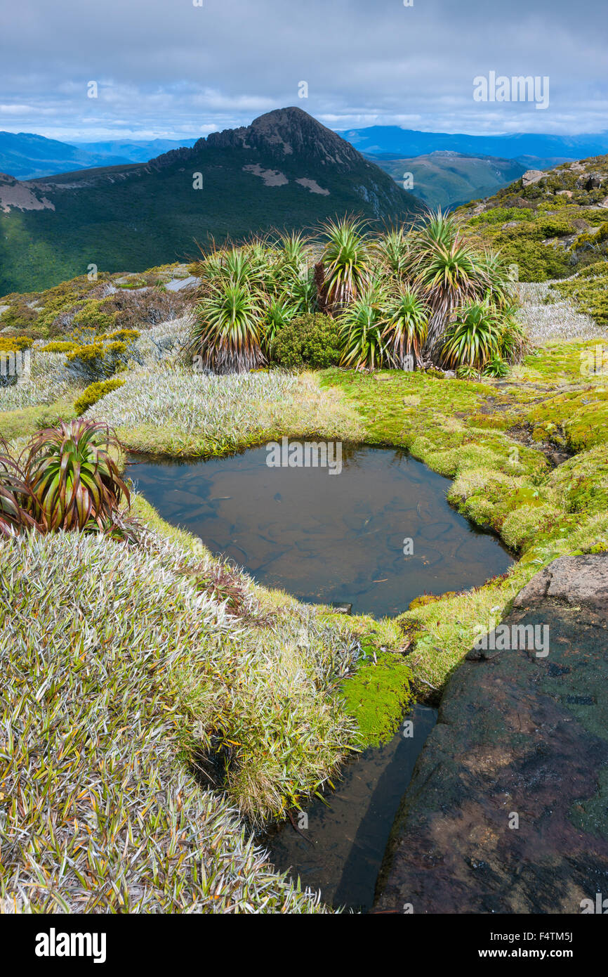 Mount anne plateau hi-res stock photography and images - Alamy
