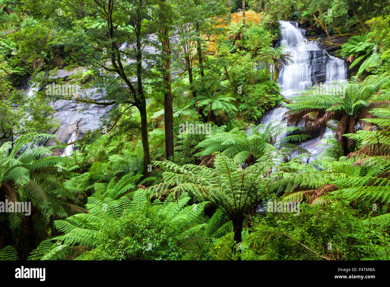Triplet Falls, Australia, Victoria, Great Otway, national park ...