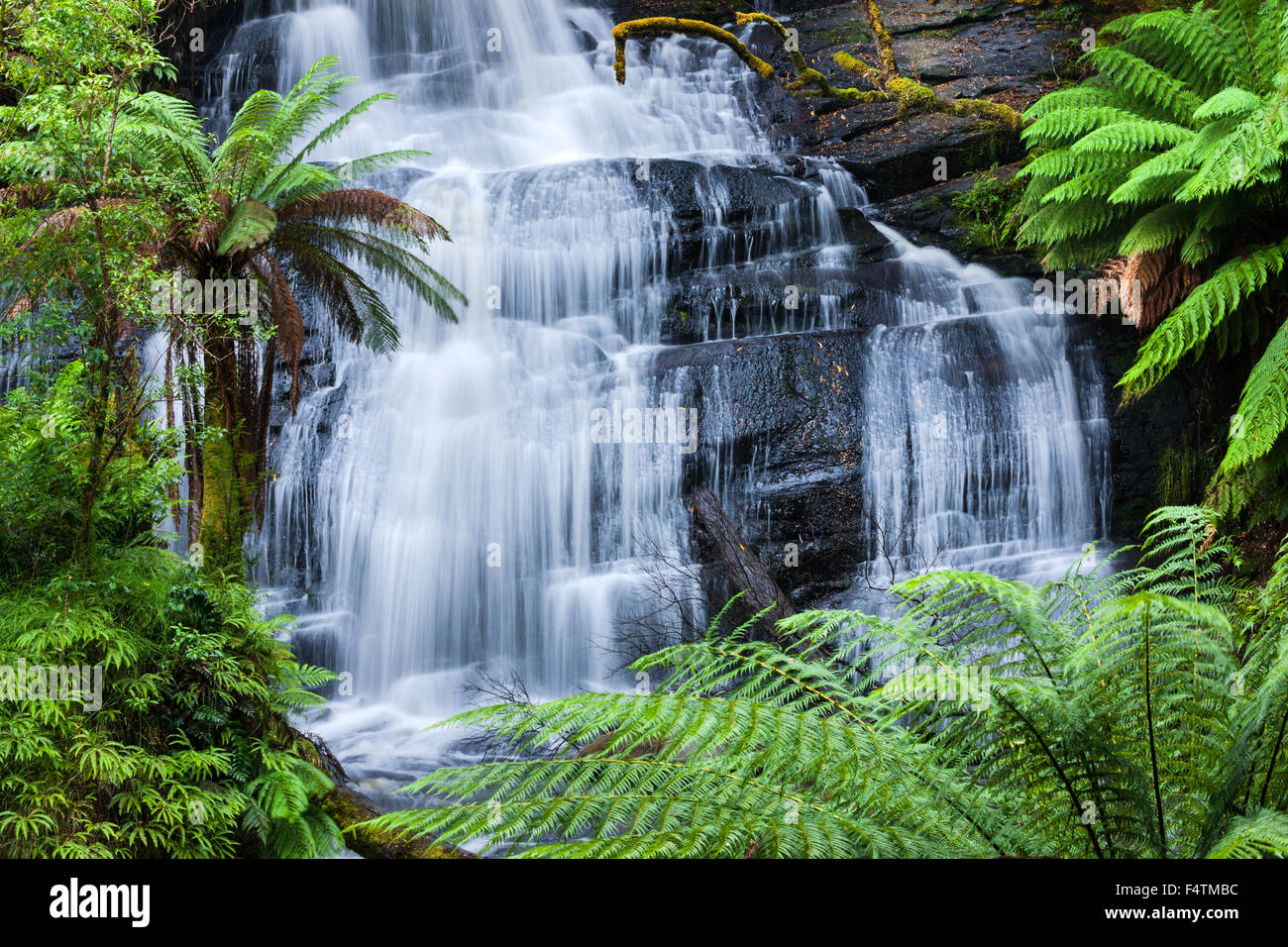 Triplet Falls, Australia, Victoria, Great Otway, national park ...