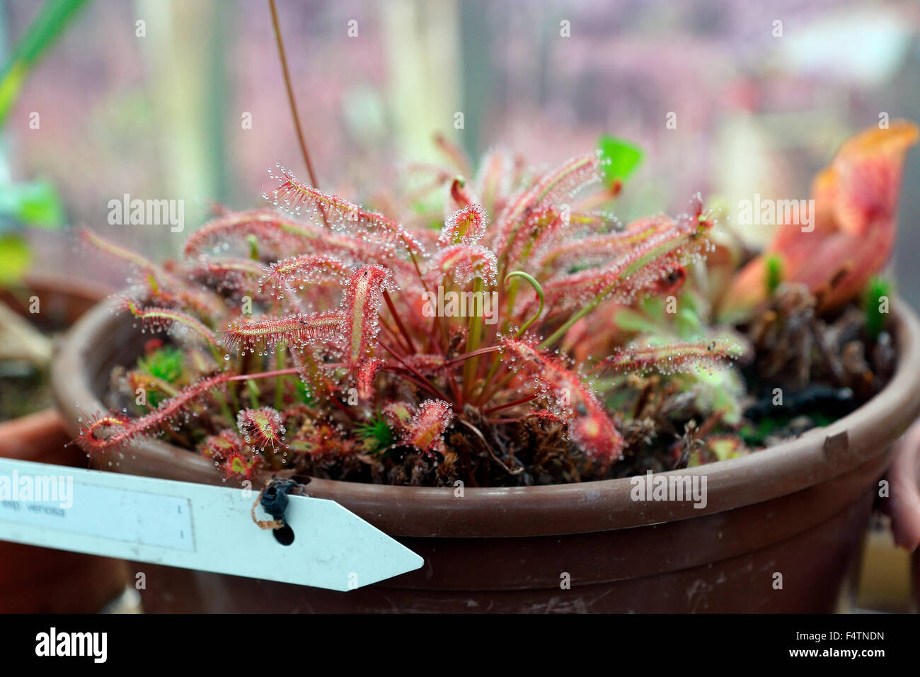 Soil enzymes hi-res stock photography and images - Alamy
