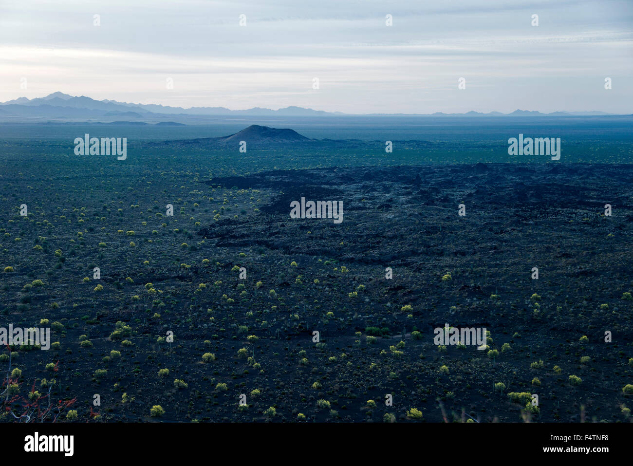 pinacate, biosphere, reserve, Mexico, Central America, landscape Stock ...