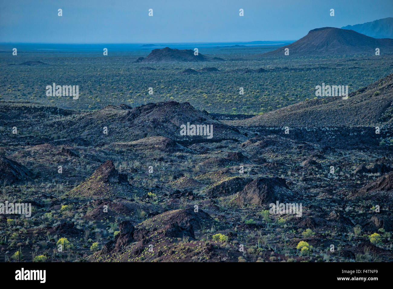 pinacate, biosphere, reserve, Mexico, Central America, landscape Stock ...