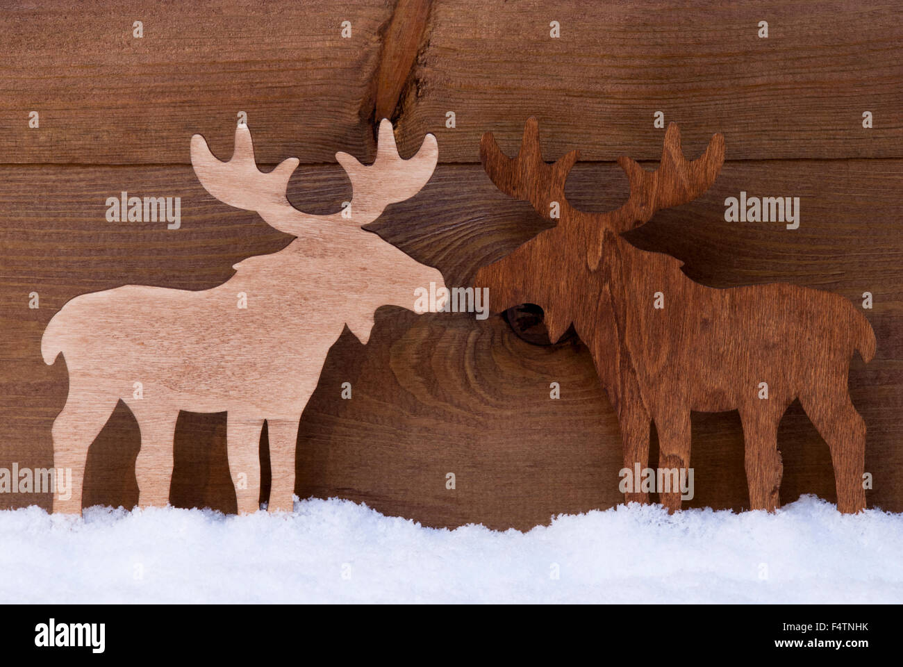 Moose couple hi-res stock photography and images - Alamy