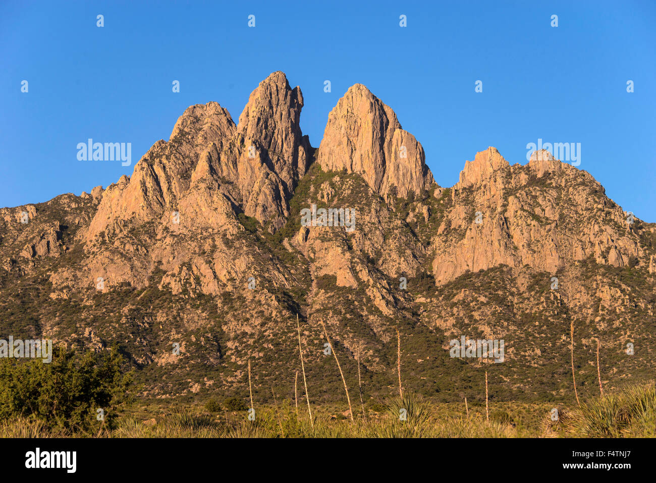 Organ mountains new mexico hi-res stock photography and images - Alamy