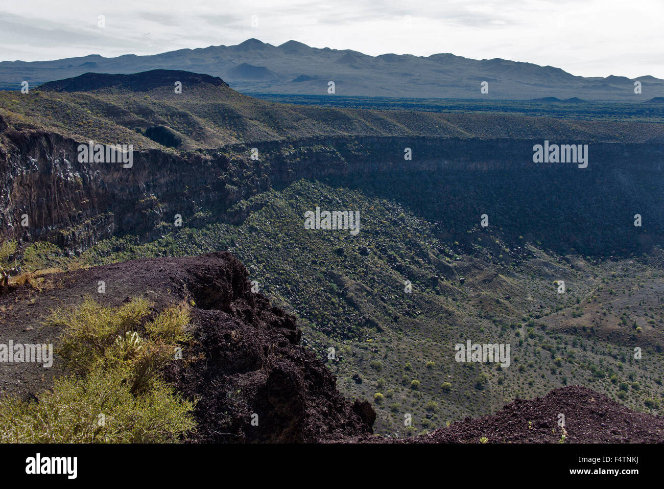 pinacate, biosphere, reserve, Mexico, Central America, elegante crater ...