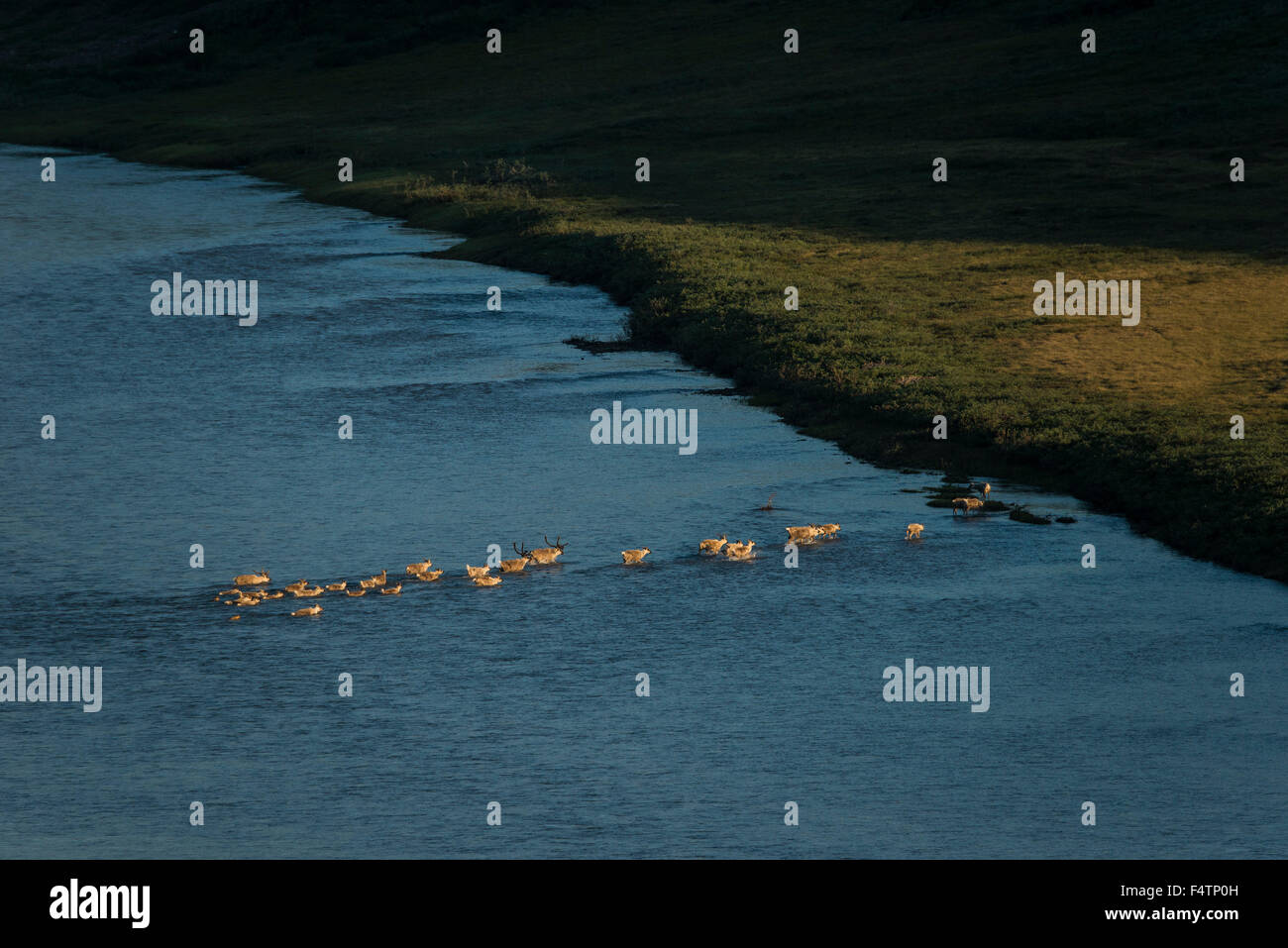 Swim river hi-res stock photography and images - Alamy