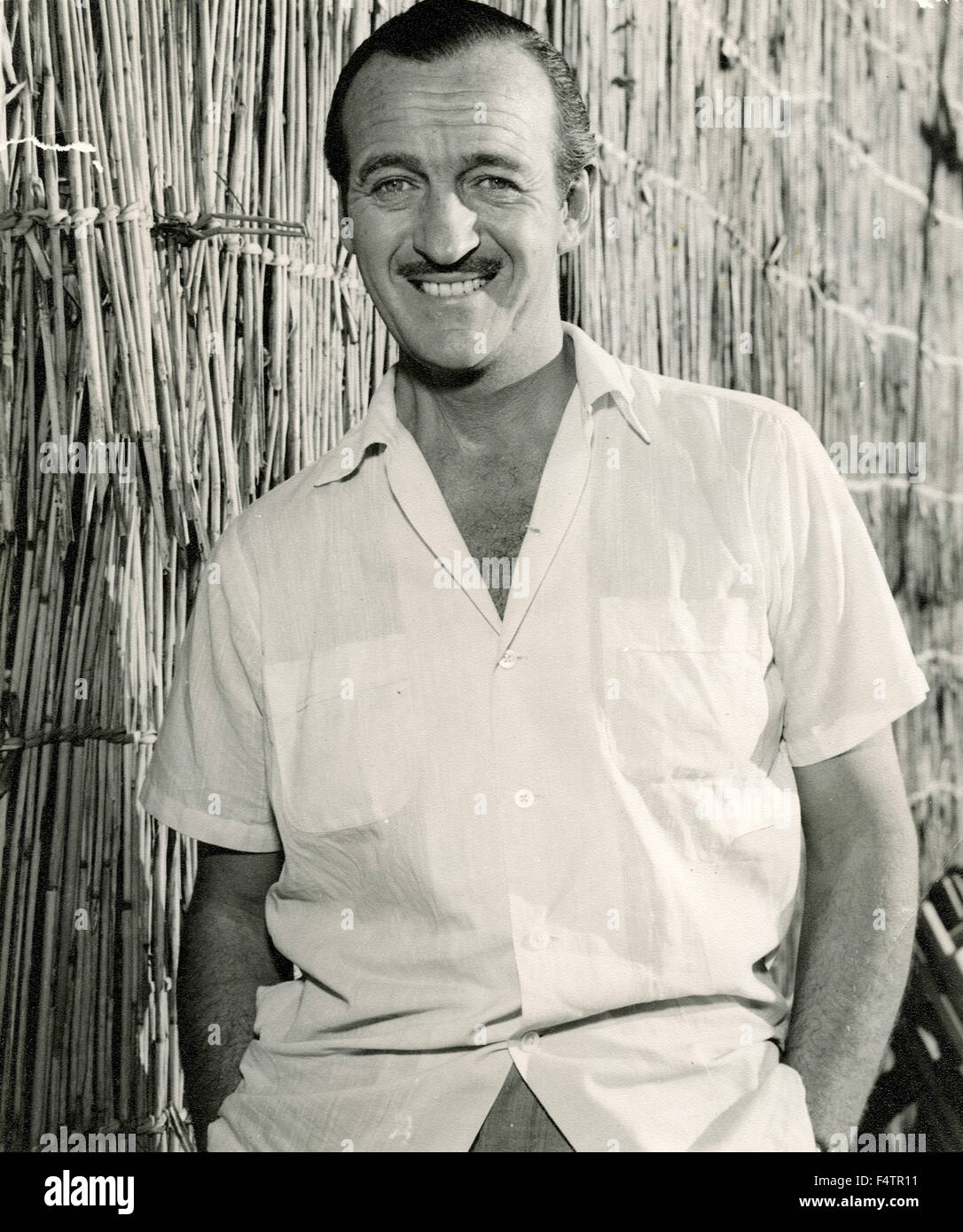 The English actor David Niven Stock Photo - Alamy