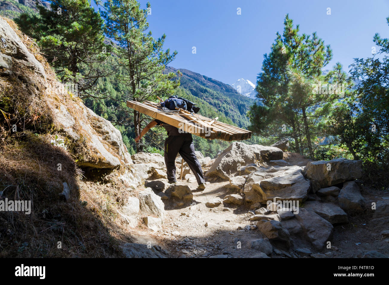 Porter carrying heavy timber wood up an ascending track Stock Photo - Alamy