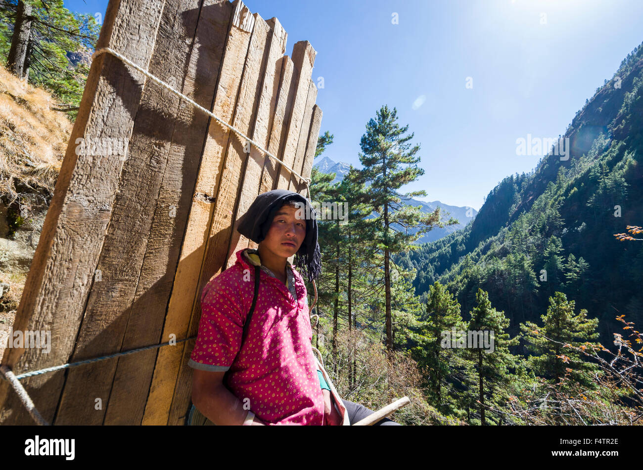 Porter carrying heavy timber wood up a ascending track, resting Stock ...