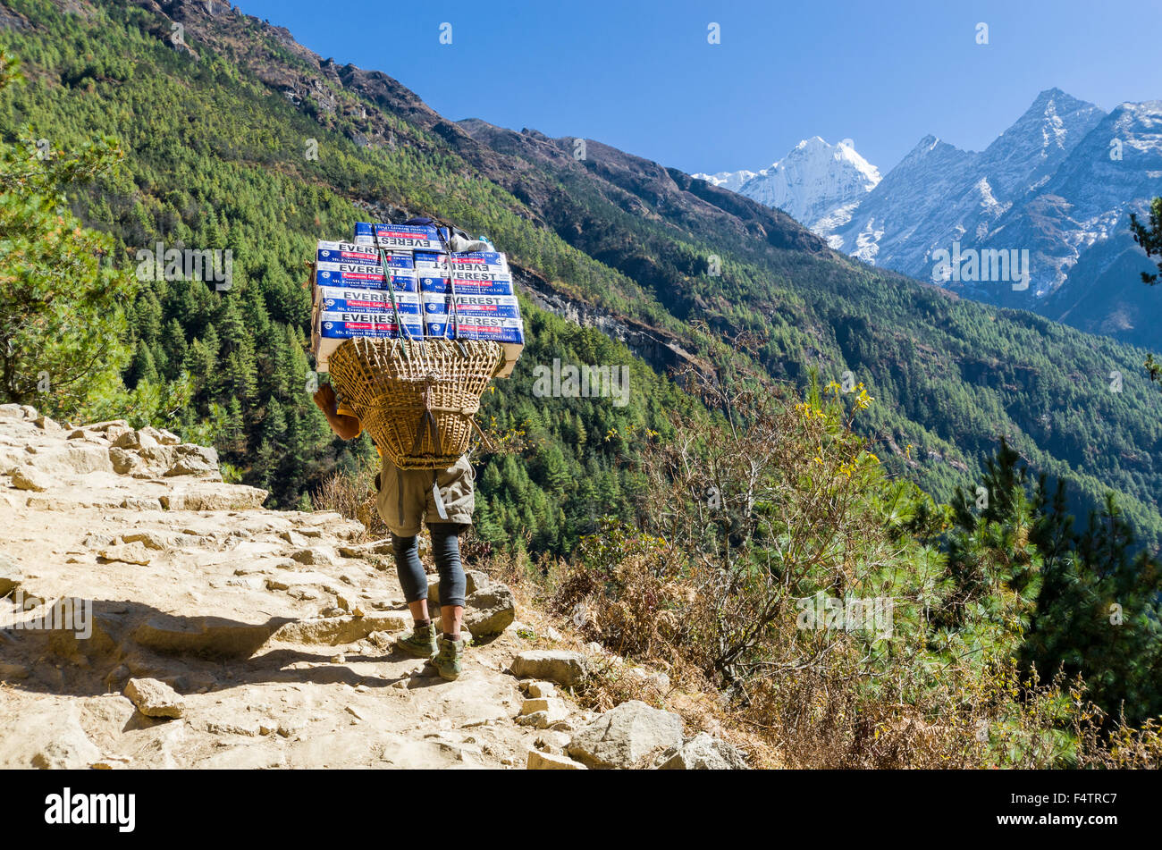 Porter carrying more than 100 kg heavy load of beer bottles up an ...