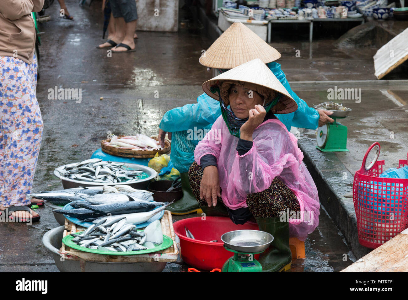 vietnamese ladies selling fresh fish at the market in Hoi An,historic ...