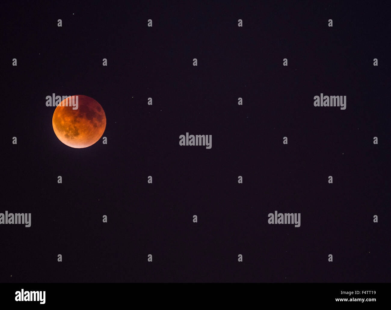 The Blood Moon as seen from Vancouver, BC, Canada Stock Photo - Alamy