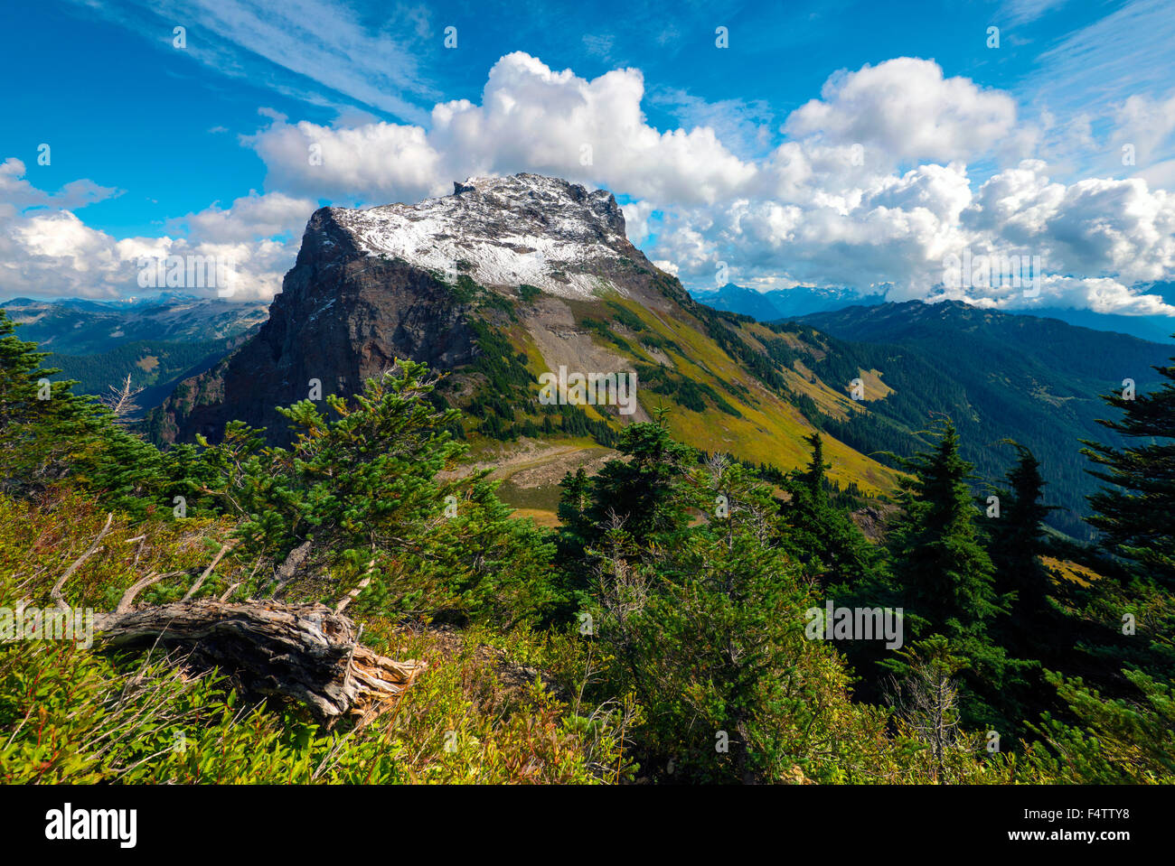 Mt. Cheam Trail Stock Photo - Alamy