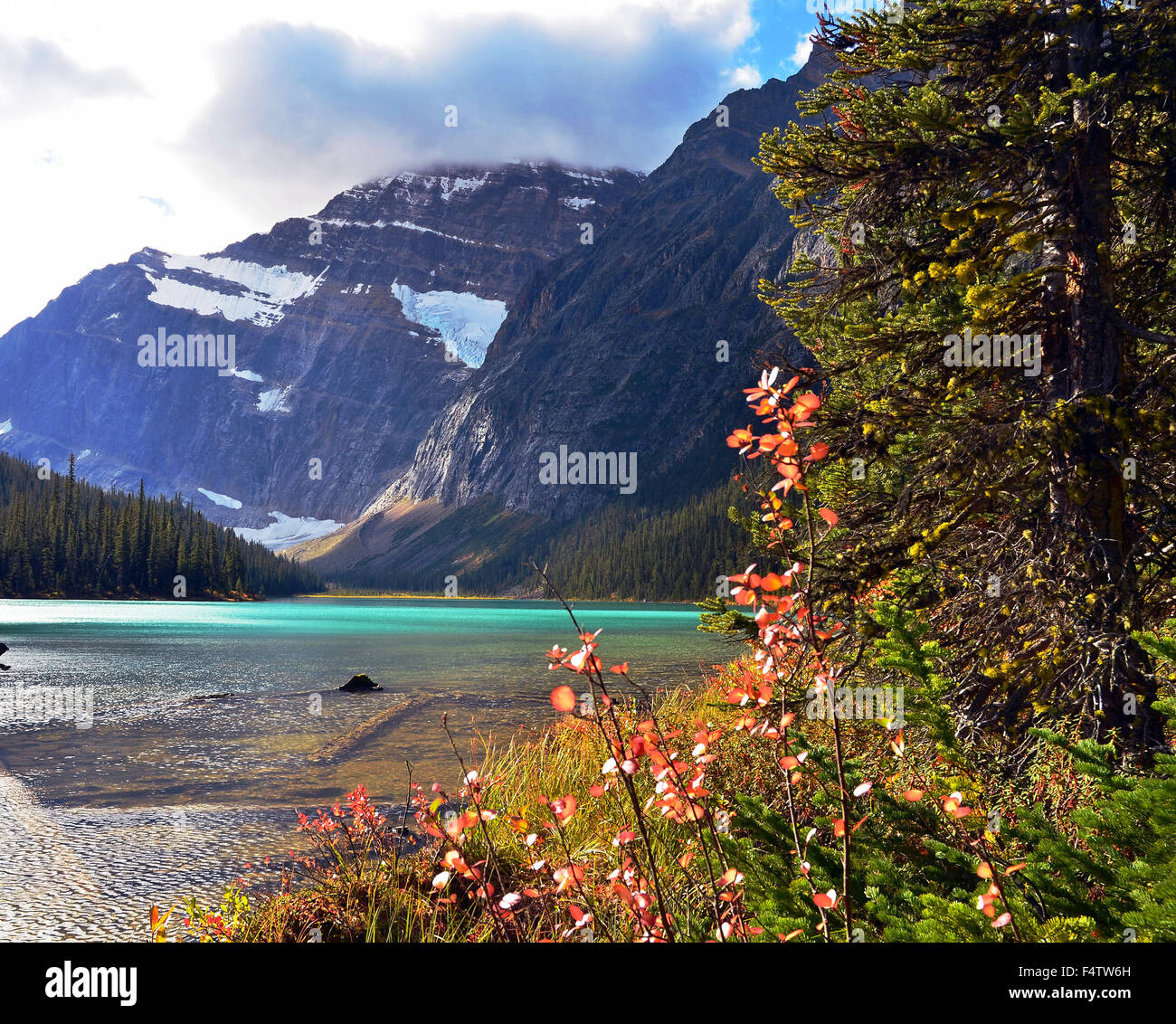Jasper national park hi-res stock photography and images - Alamy