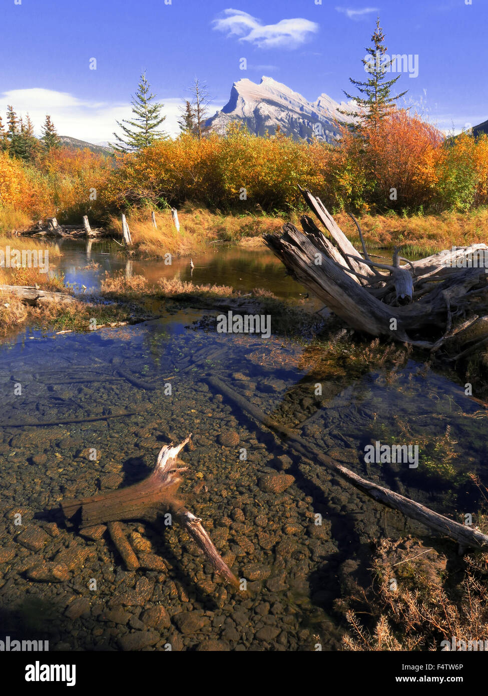 Vermilion color hi-res stock photography and images - Alamy