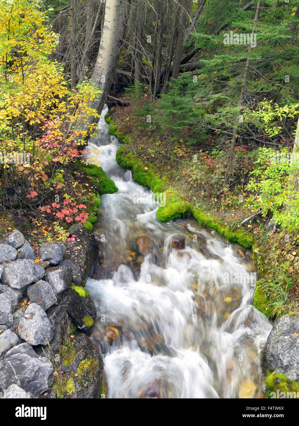 Fall Waterfall, Jasper National Park, Alberta, Canada Stock Photo - Alamy