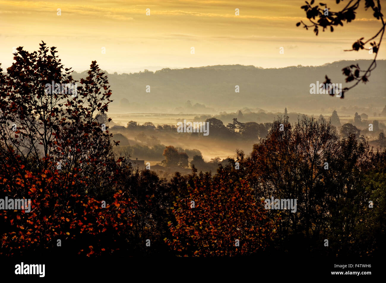 Tedstone High Resolution Stock Photography and Images - Alamy