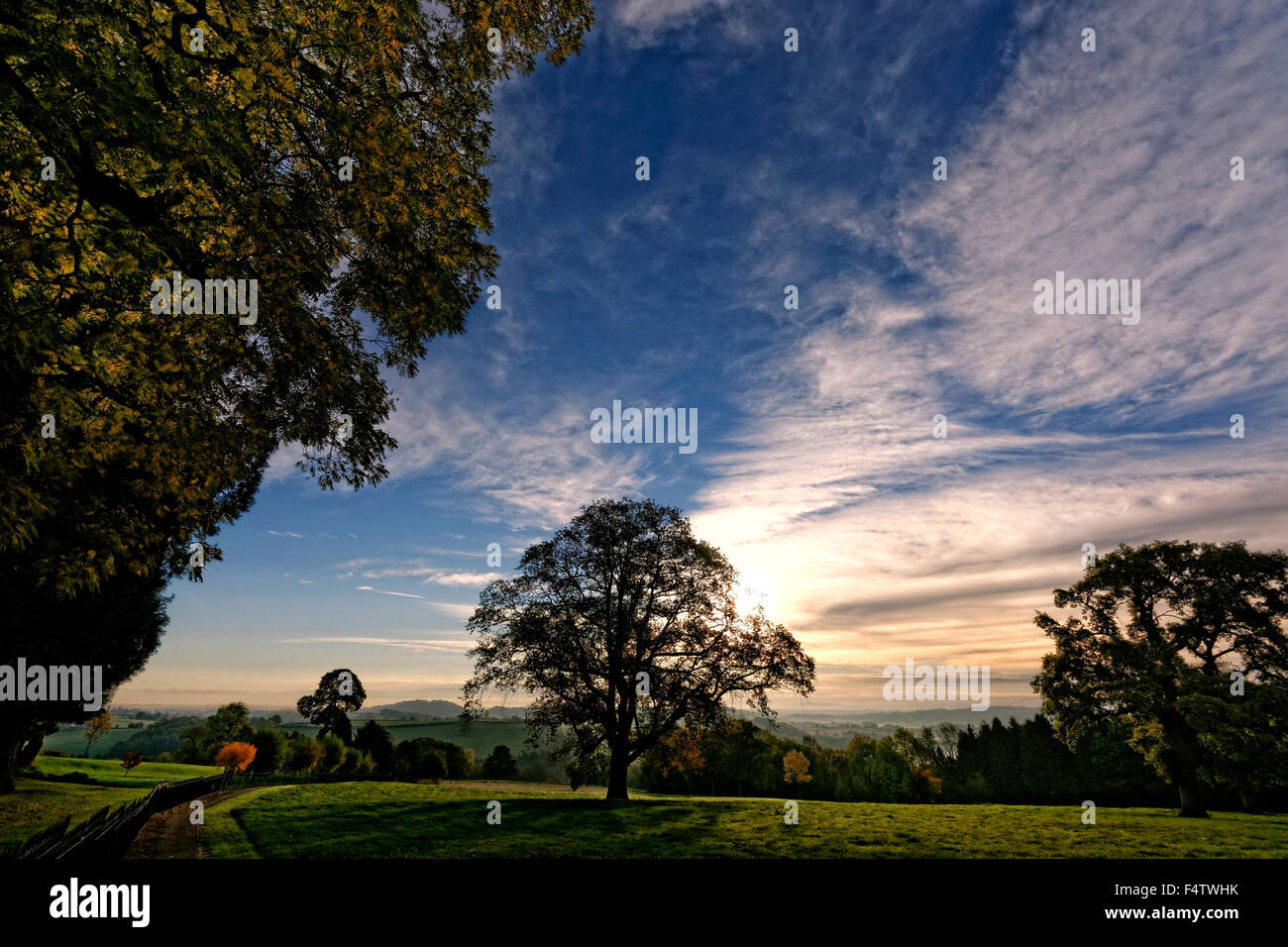Tedstone High Resolution Stock Photography and Images - Alamy