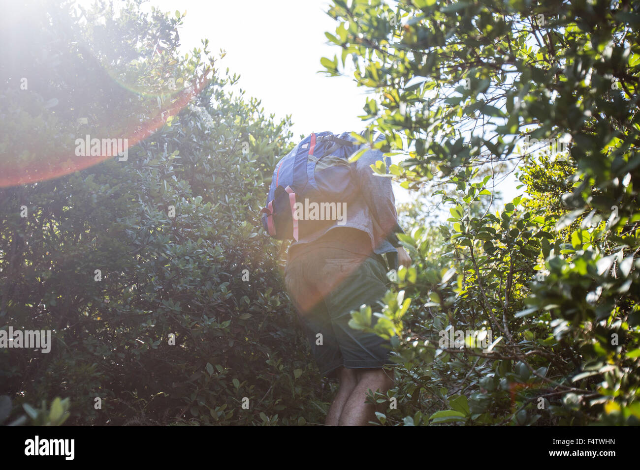 Hiking in New Territories, Hong Kong, via Sharp Peak, Ham Tim Beach and ...