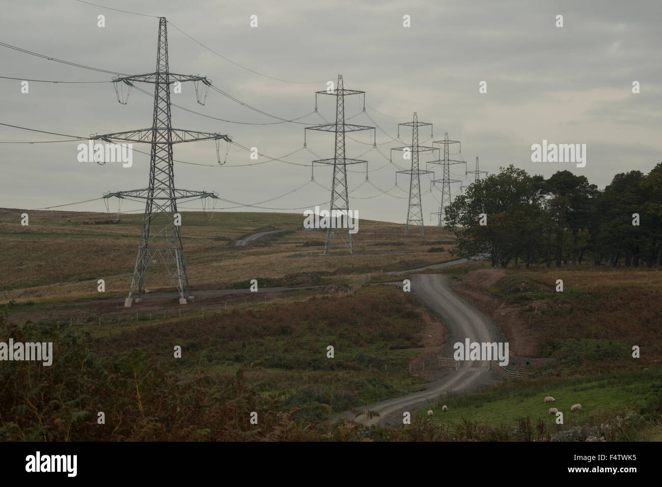 Beauly to Denny power line construction project showing run of new ...