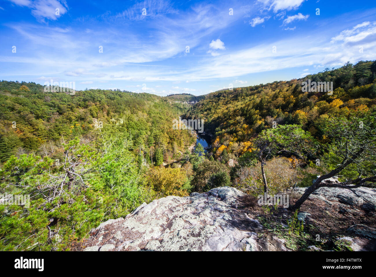 View of Clear Creek from Lilly Bluff Overlook at Obed Wild and Scenic ...
