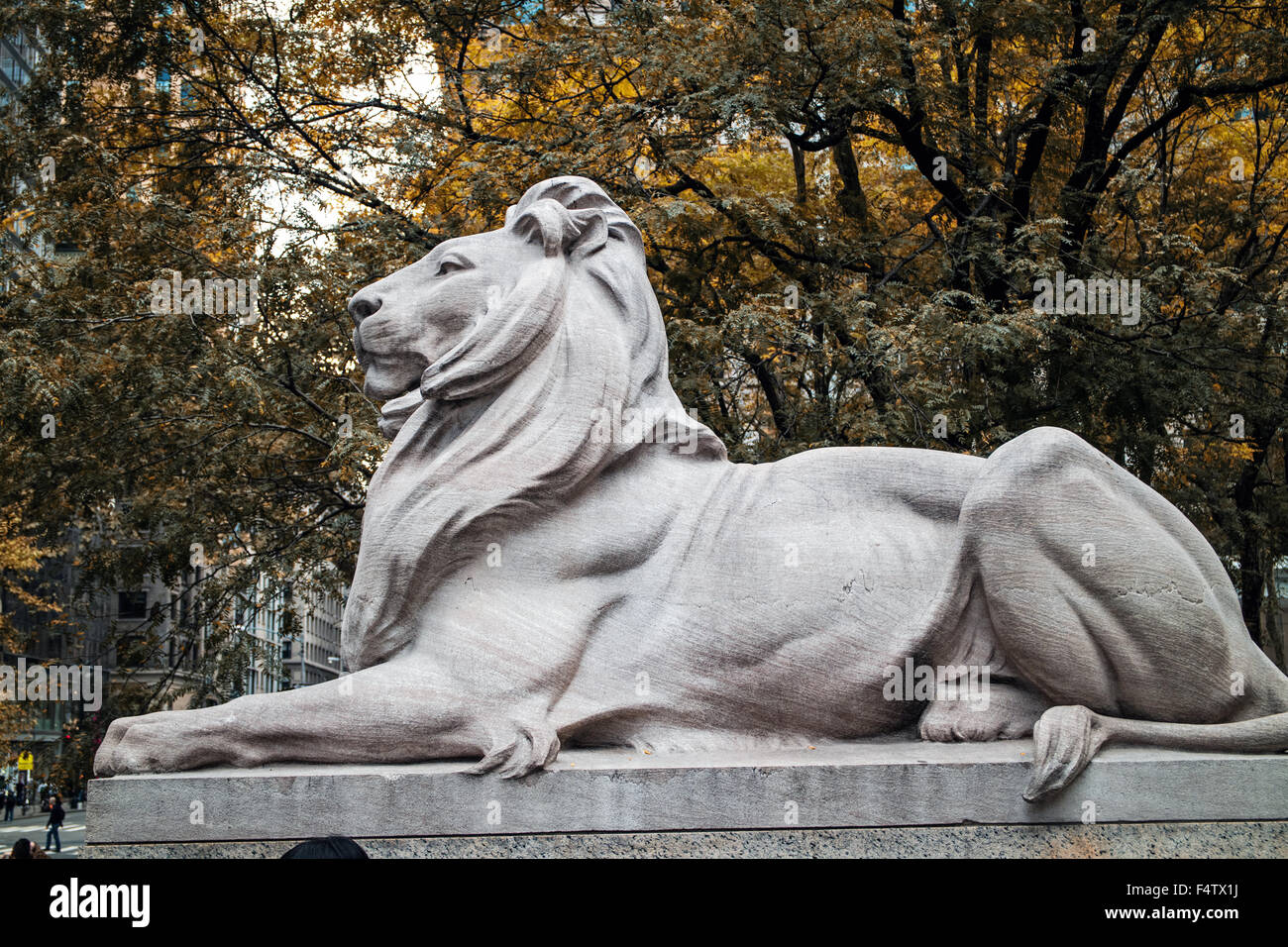 New york public library lion hi-res stock photography and images - Alamy