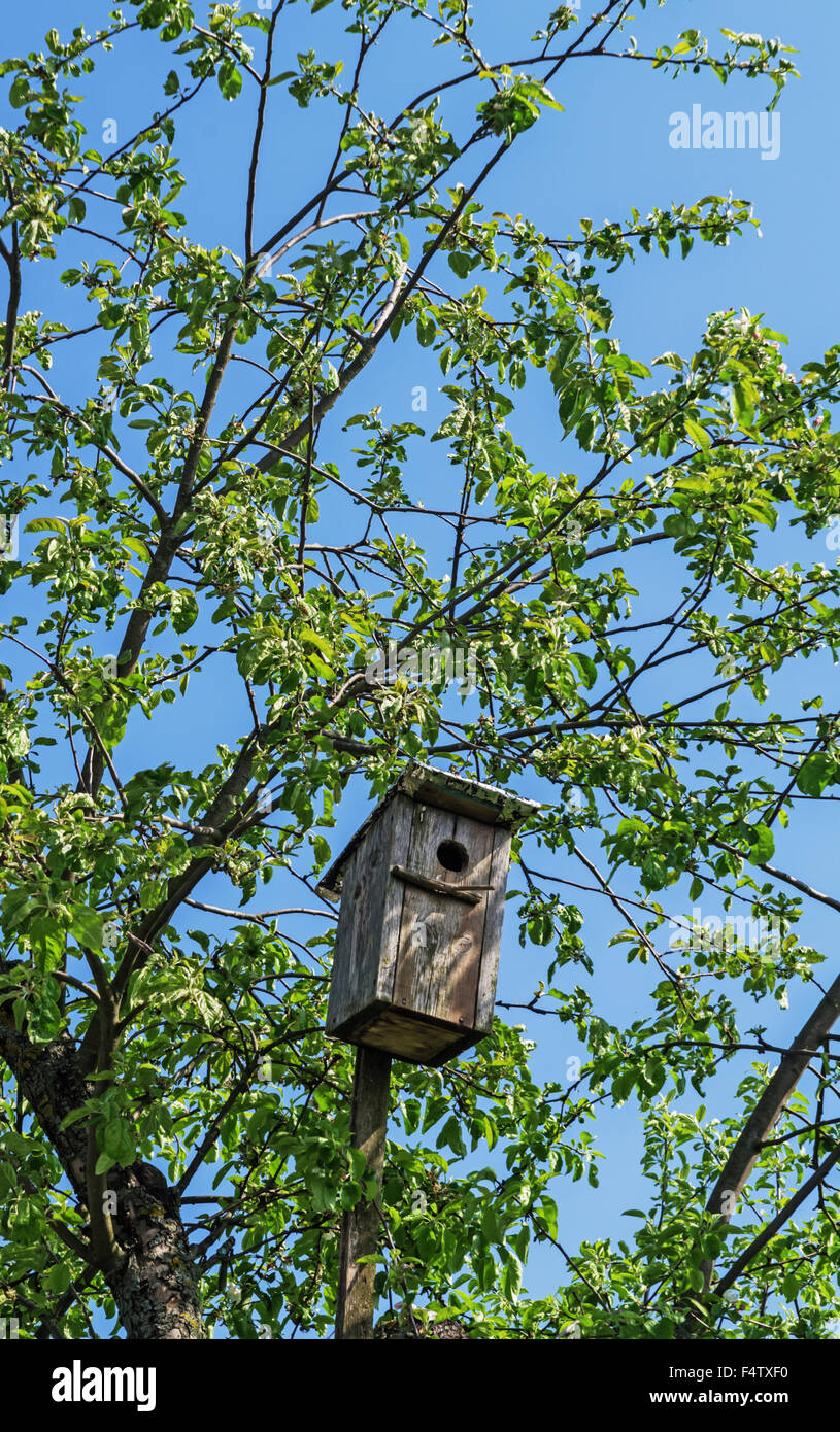 Bird house box in the garden Stock Photo - Alamy