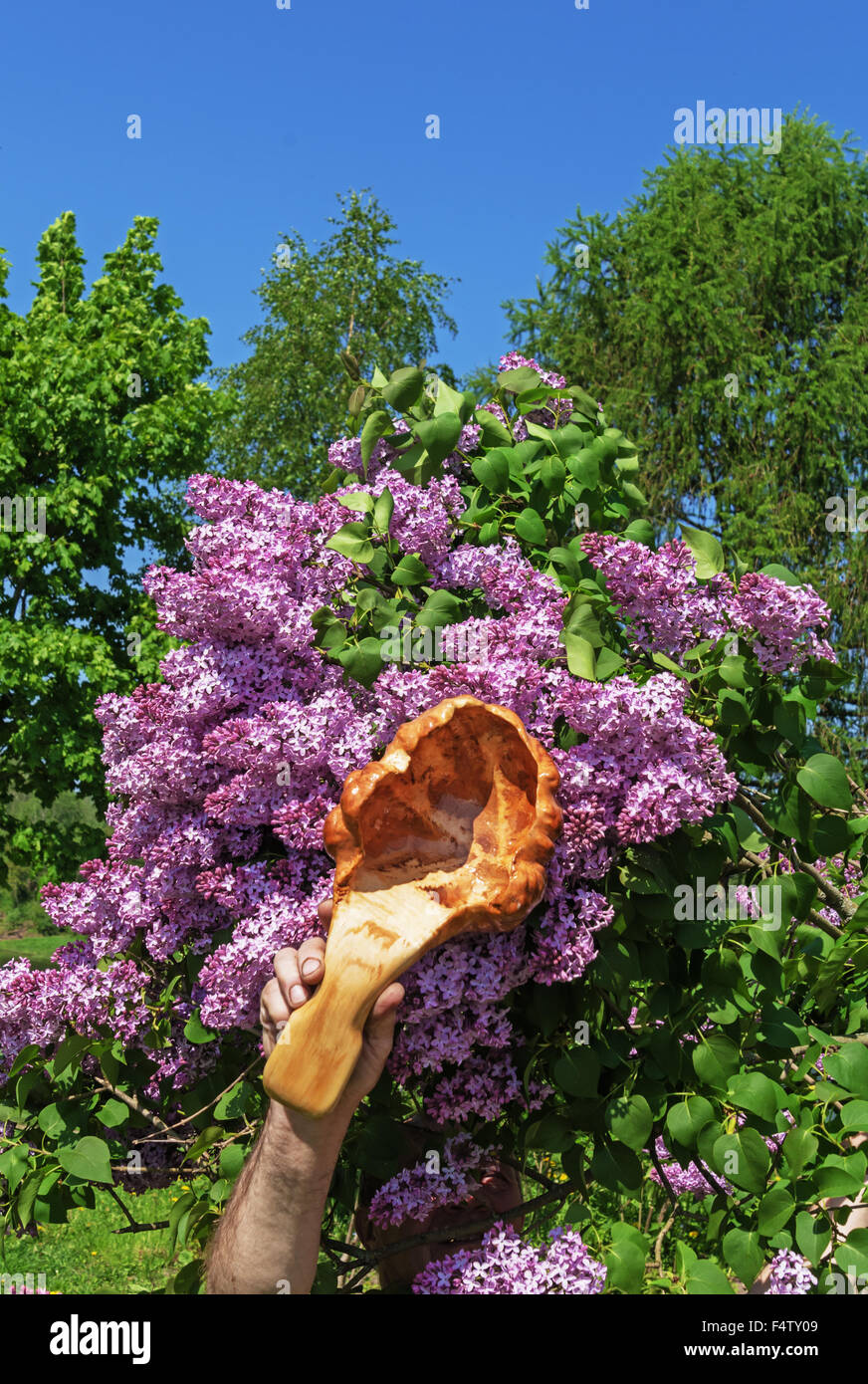 Types of tree cutting hi-res stock photography and images - Alamy
