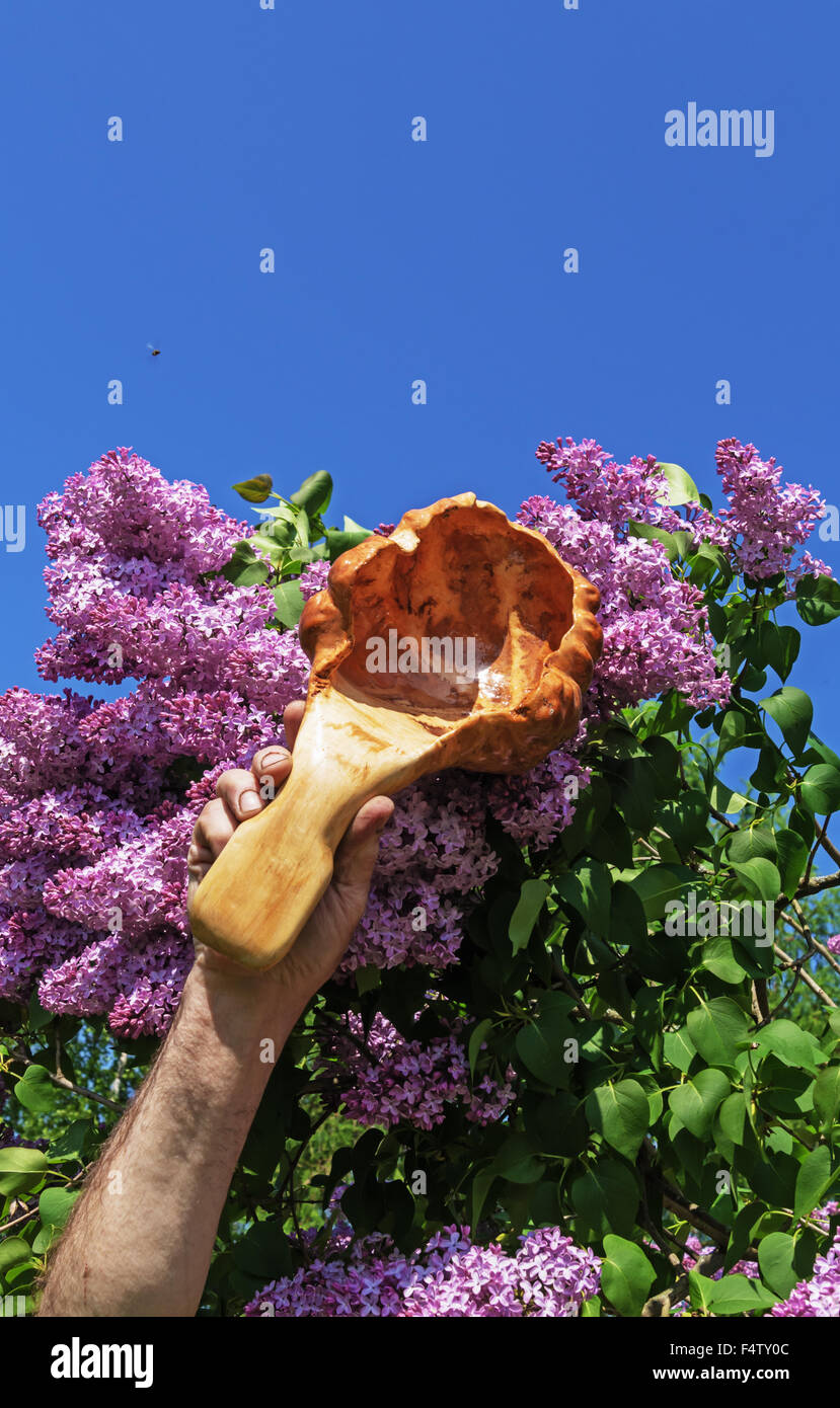Carved handmade decorative wood spoon near lilac tree Stock Photo - Alamy