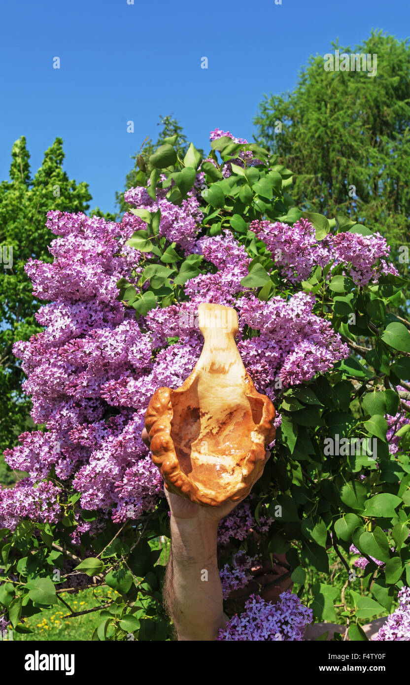 Types of tree cutting hi-res stock photography and images - Alamy