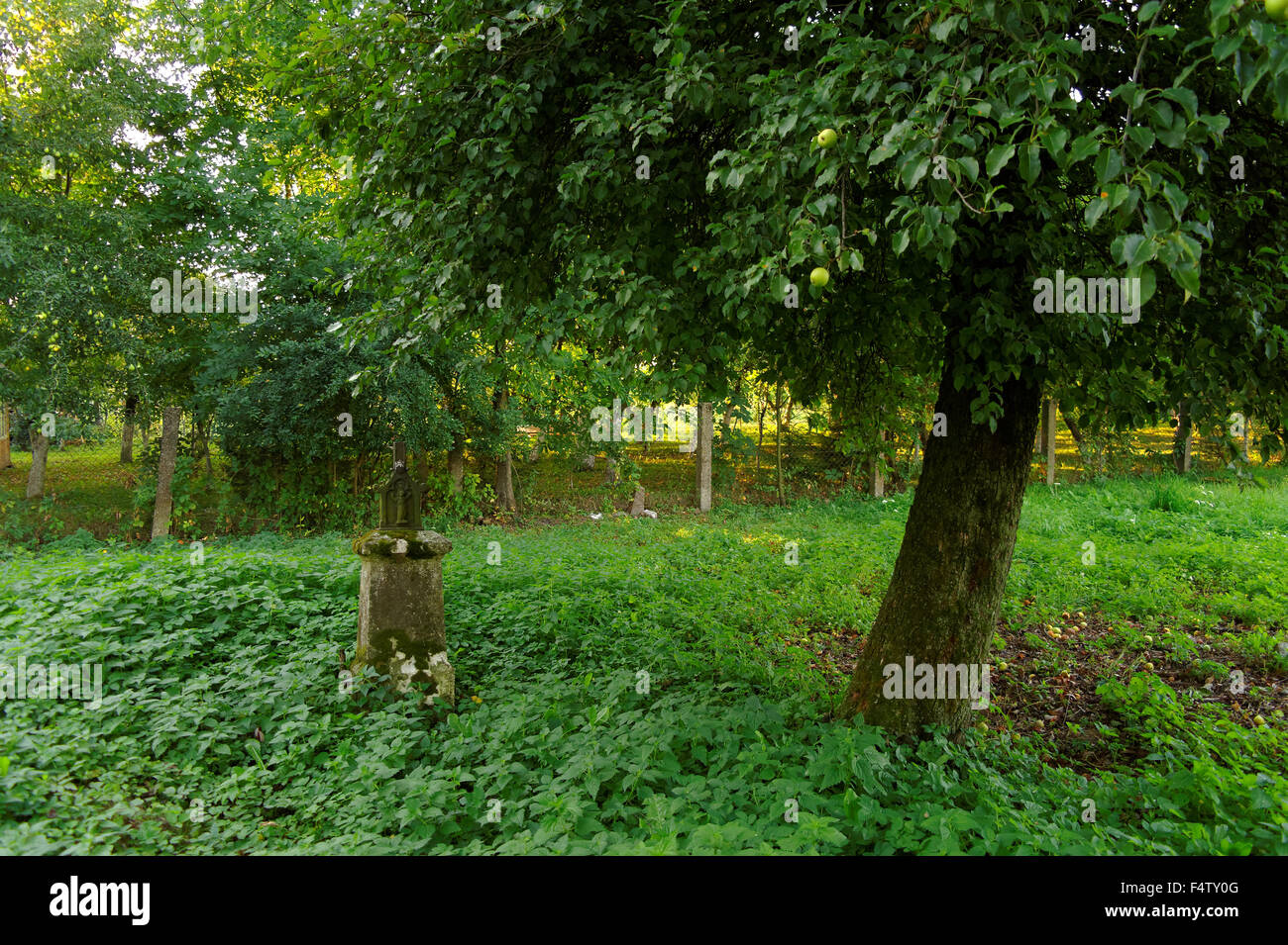 old ruined devastated grave under tree on the forgotten rural cemetery ...