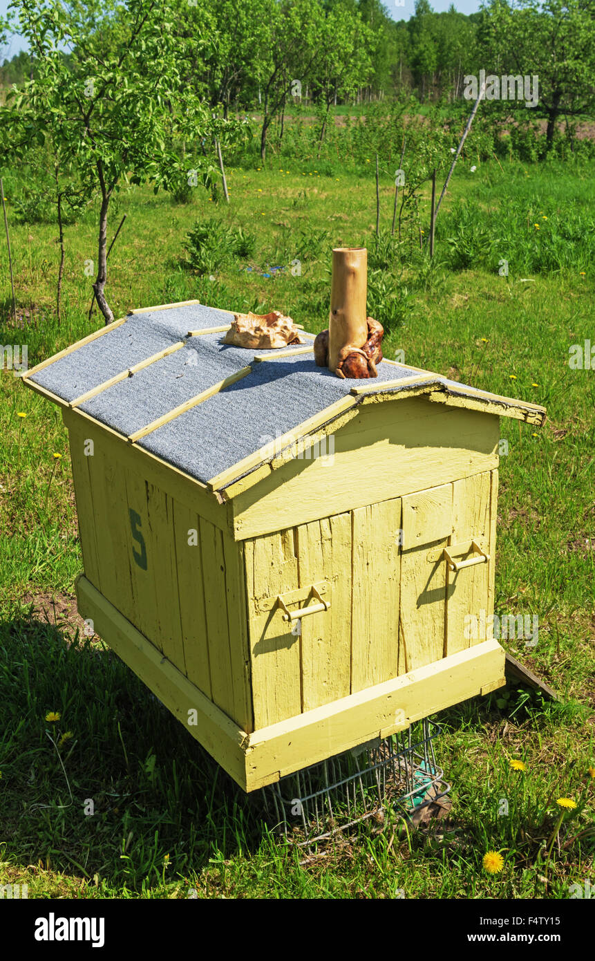 Spring bee swarm run hi-res stock photography and images - Alamy