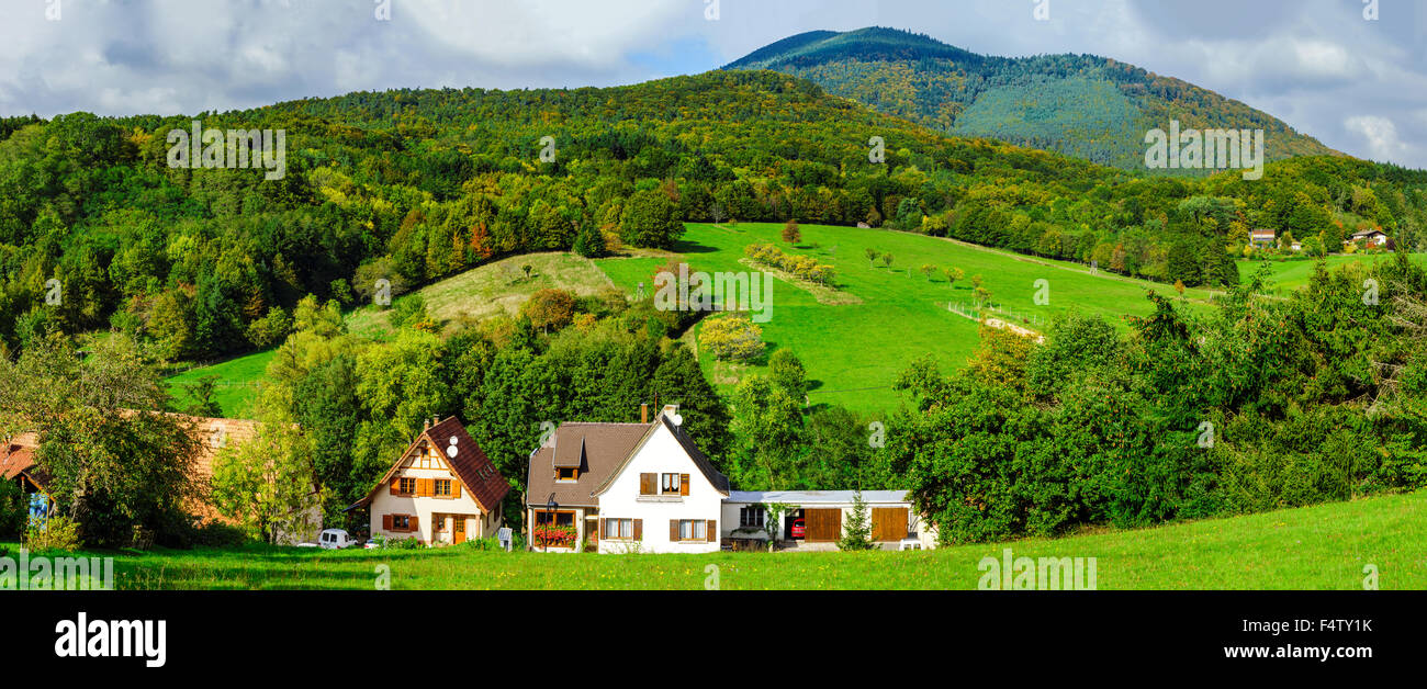 Beautiful colorized autumnal hills and meadows in Alsace, France Stock ...