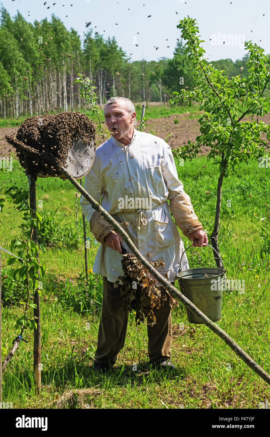 Spring bee swarm run hi-res stock photography and images - Alamy