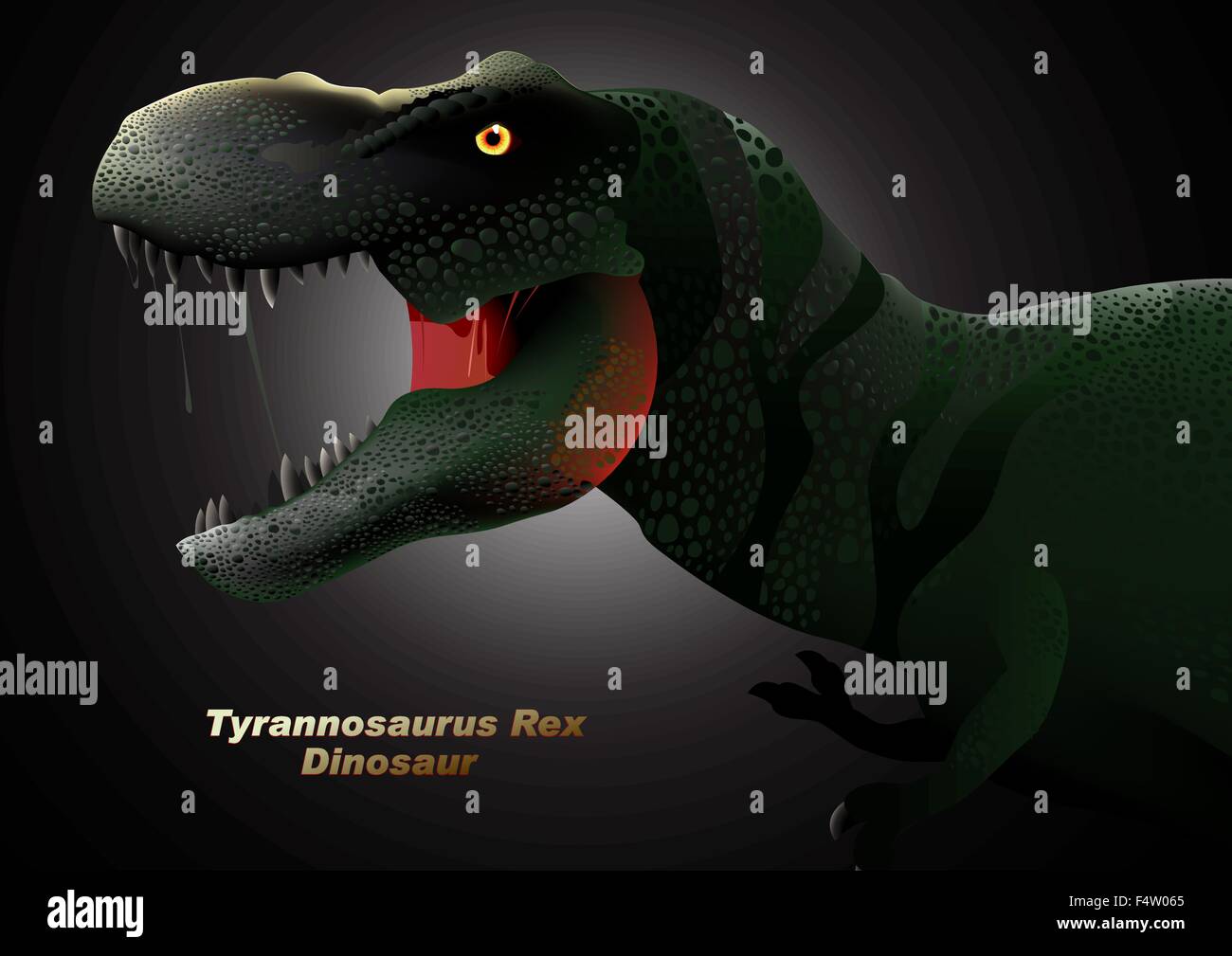Dinosaur Tyrannosaurus head close up at night Stock Vector Image & Art ...