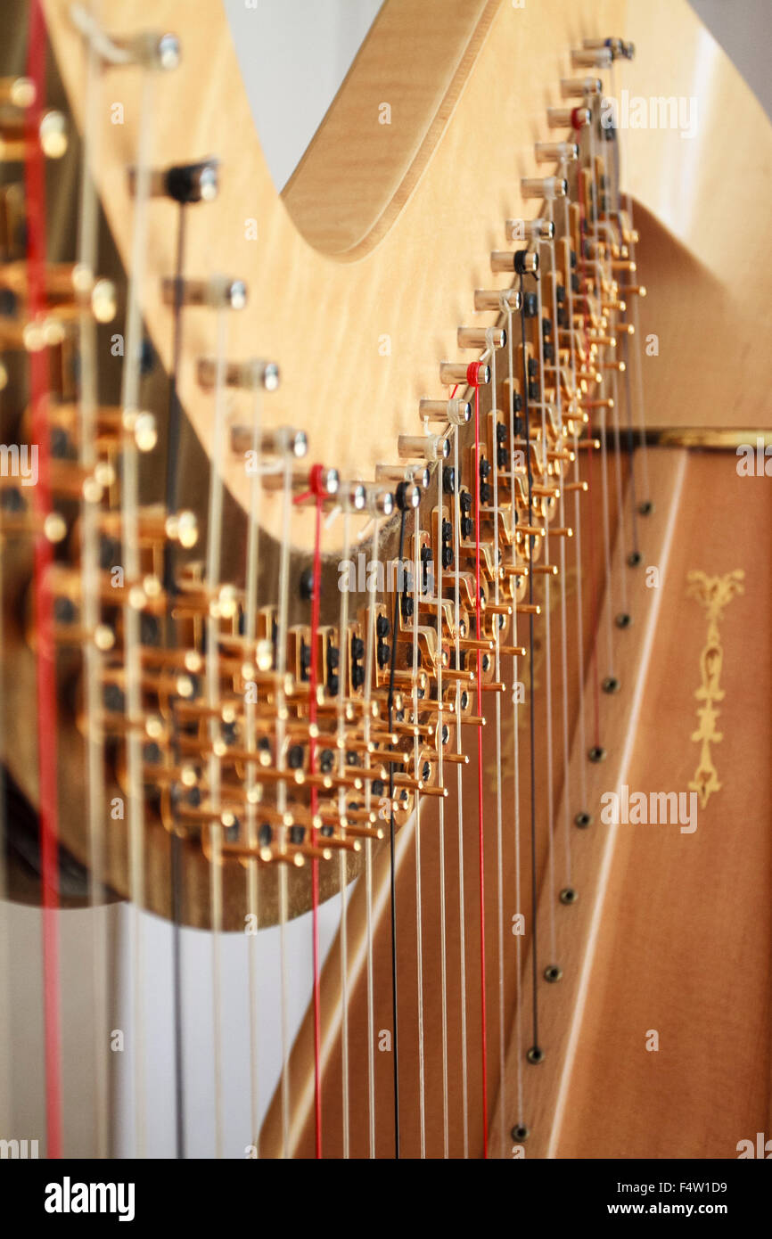 Harp neck hi-res stock photography and images - Alamy