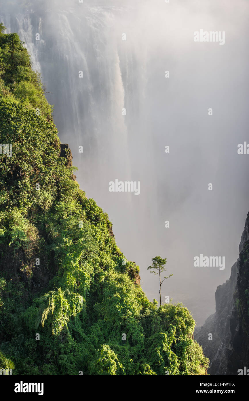 LIVINGSTONE, ZAMBIA - Victoria Falls Waterfall Stock Photo - Alamy