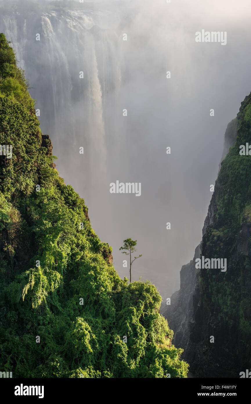 LIVINGSTONE, ZAMBIA - Victoria Falls Waterfall Stock Photo - Alamy