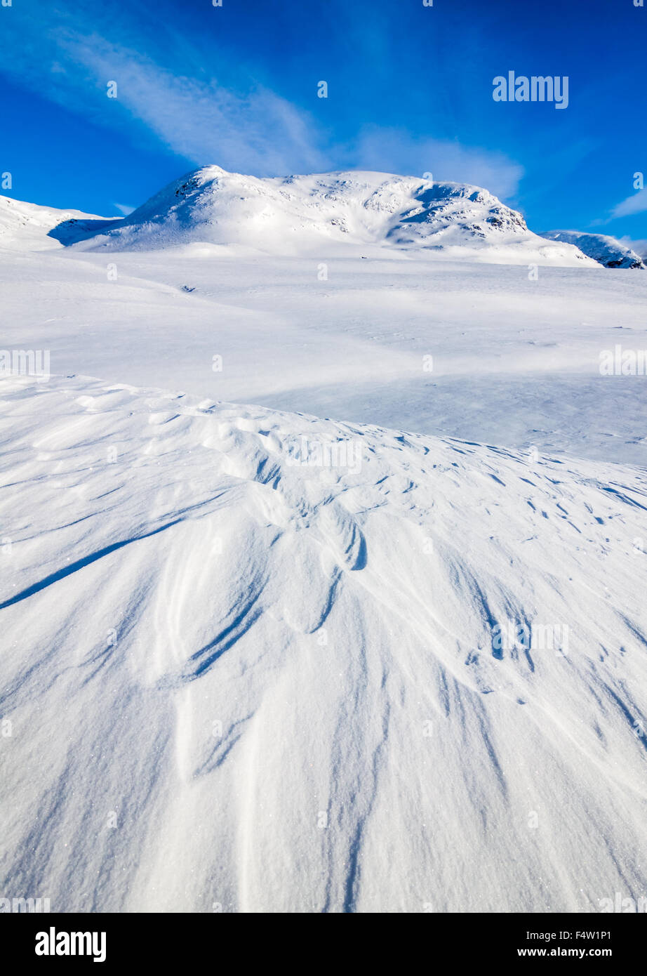 Winter in Vindelfjällen, Sweden Stock Photo - Alamy