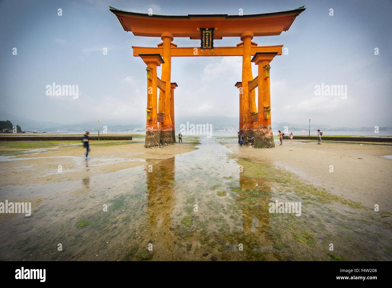 Long exposure in Miyajima, Floating Torii gate, low tide, Japan Stock ...