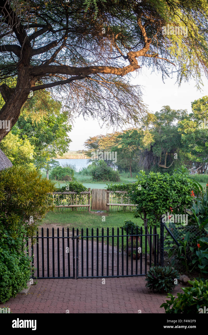 Kasane, Botswana - View of the Chobe River with lush vegetation Stock ...