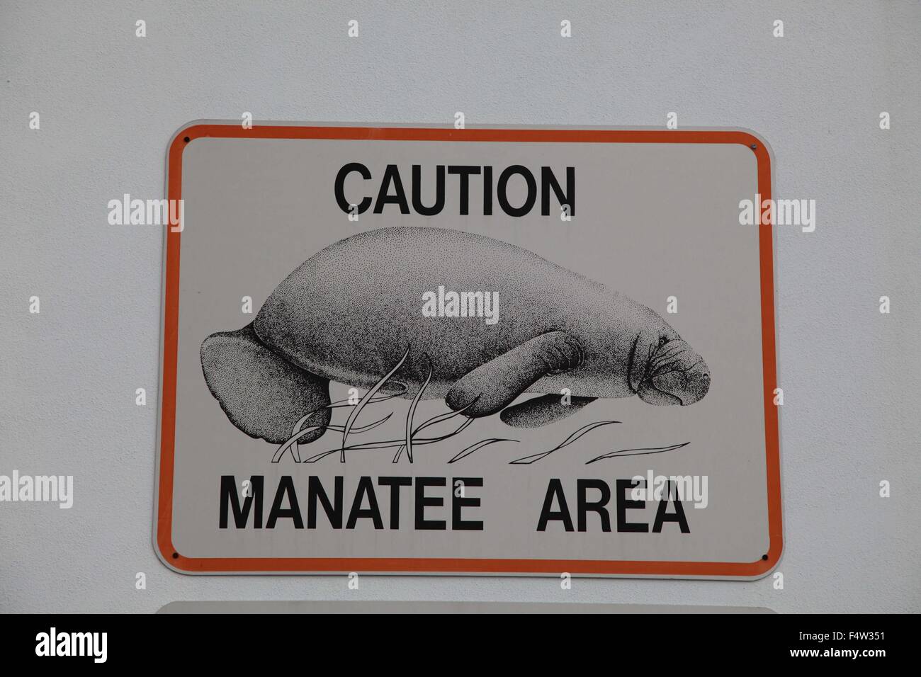 Manatee tour hi-res stock photography and images - Alamy
