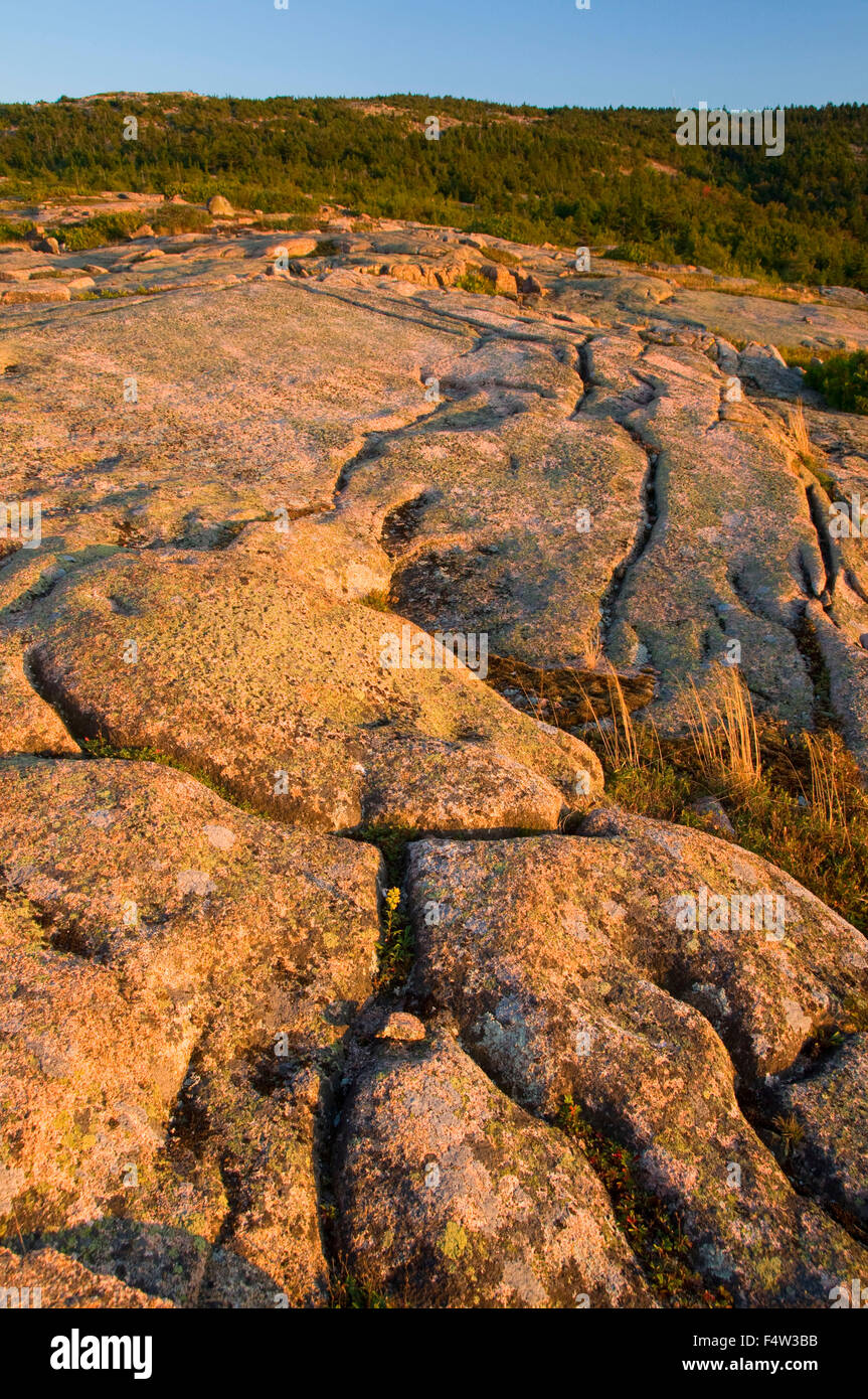 Cadillac Mountain outcrop, Acadia National Park, Maine Stock Photo - Alamy