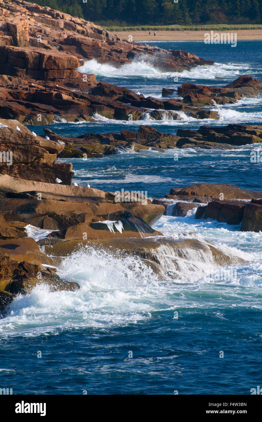 Rocky shoreline from Ocean Path, Acadia National Park, Maine Stock ...