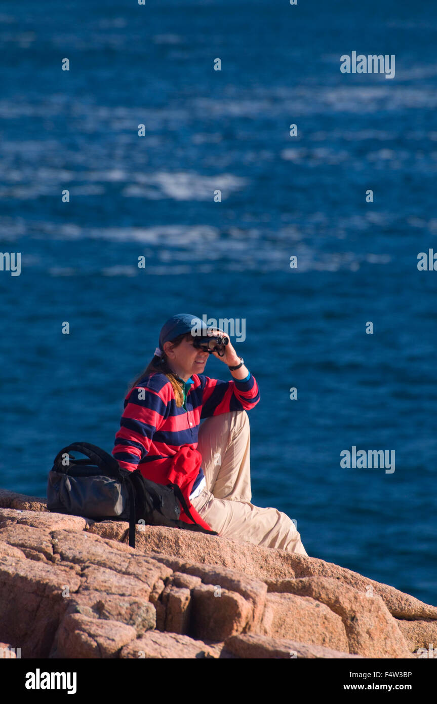 Shoreline viewing from Ocean Path, Acadia National Park, Maine Stock ...