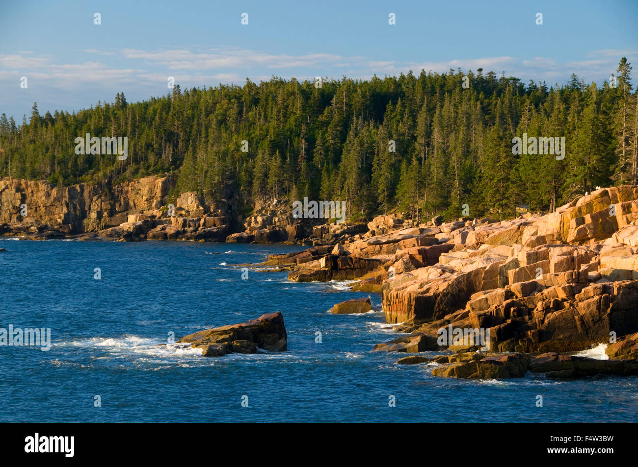 Rocky shoreline to Otter Cliff from Ocean Path, Acadia National Park ...
